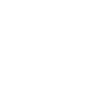 Leading Global Business Solutions Provider for Enterprises